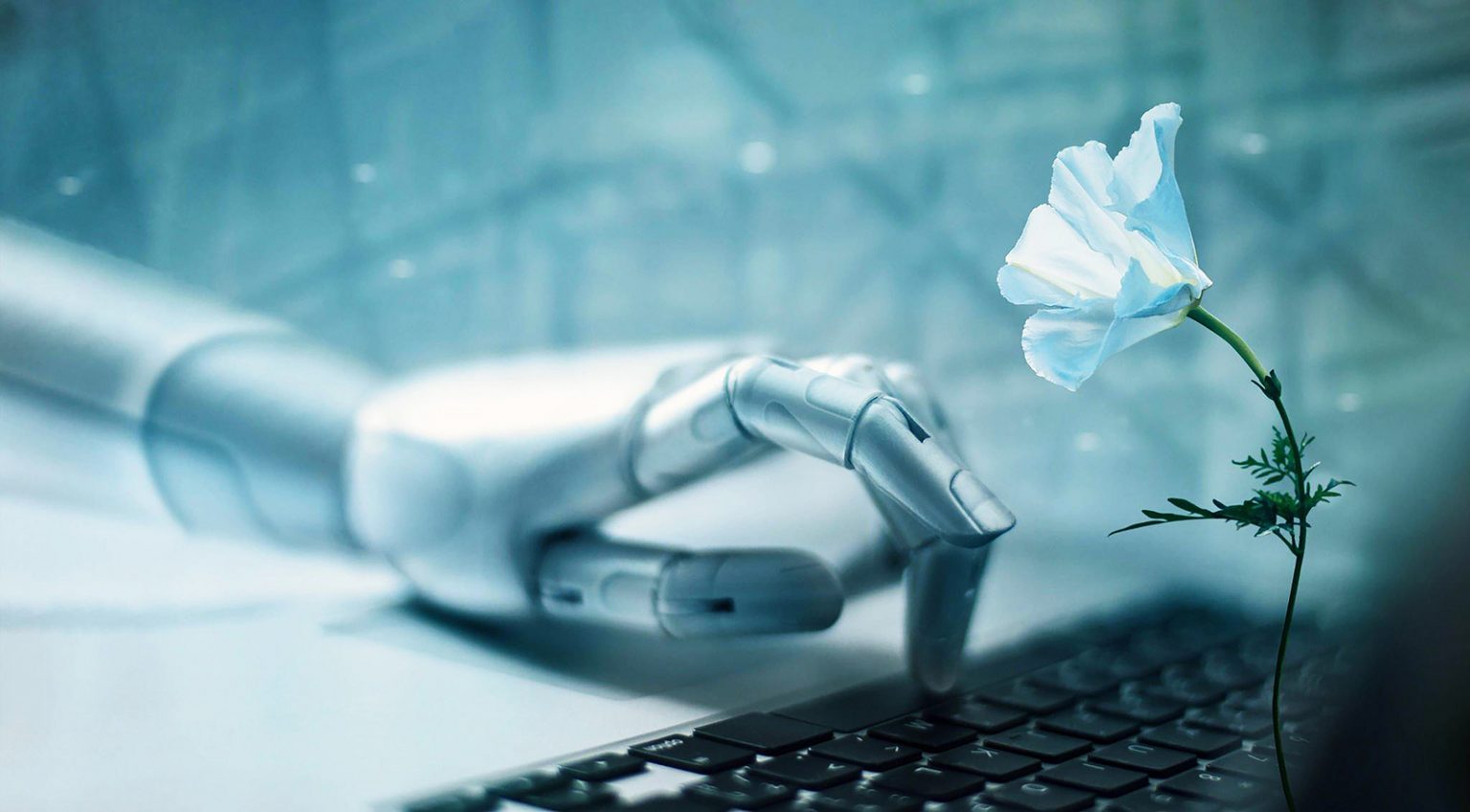 The role of emotions in AI sentience: exploring empathy and compassion ...