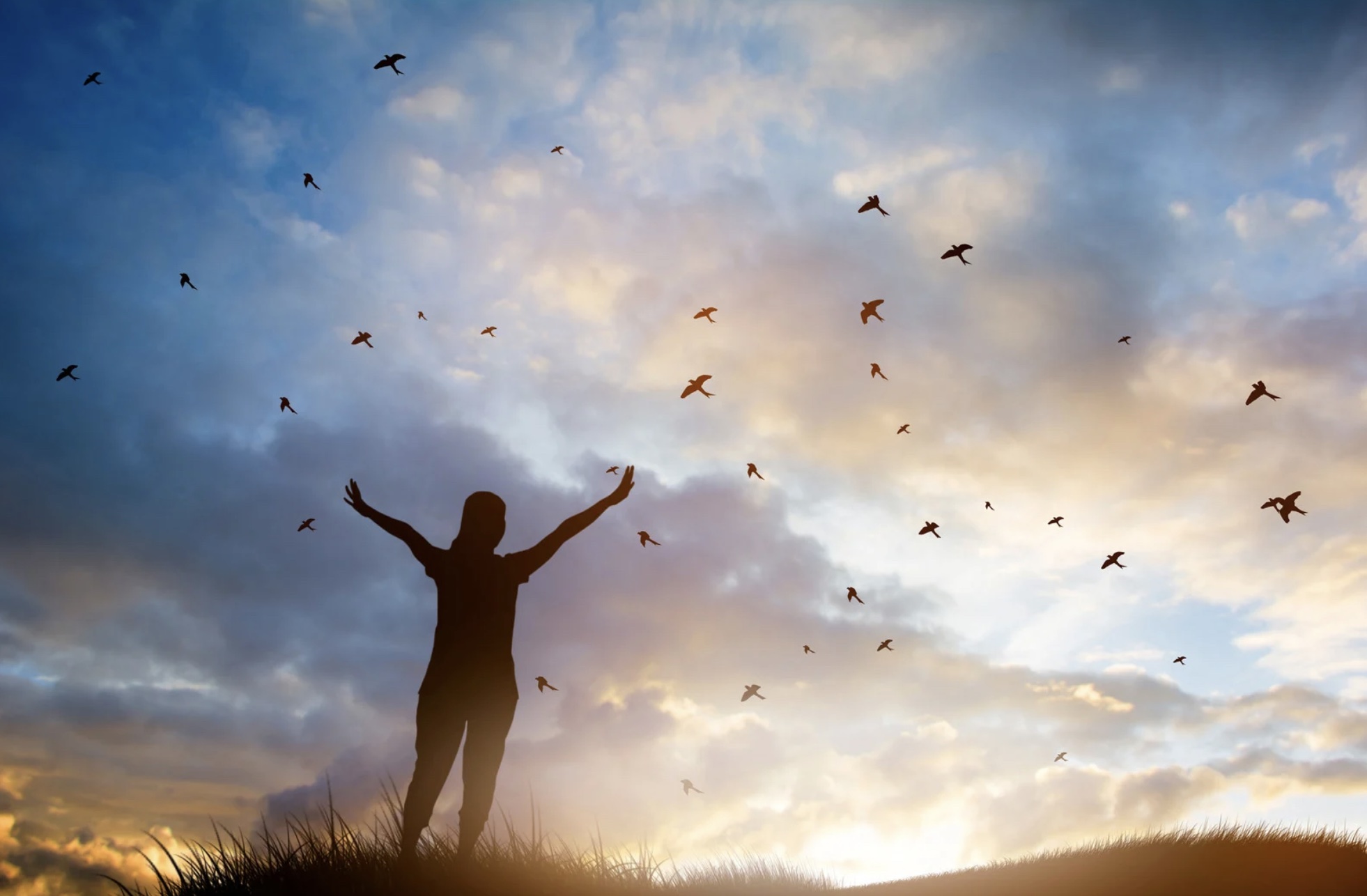 Survival Mode vs. Thriving Mode - CETfreedom